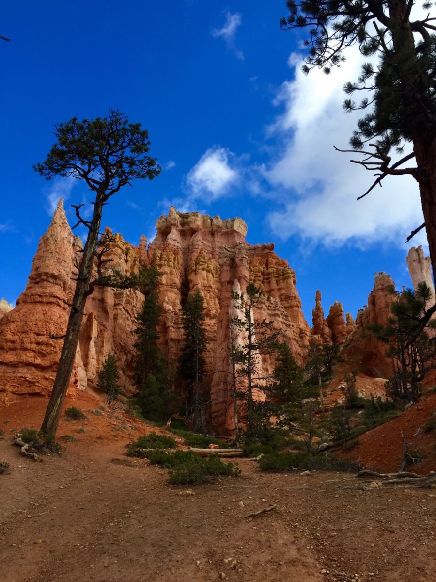 Explore Utah's Best Hiking Trails - Map - Utah Elope